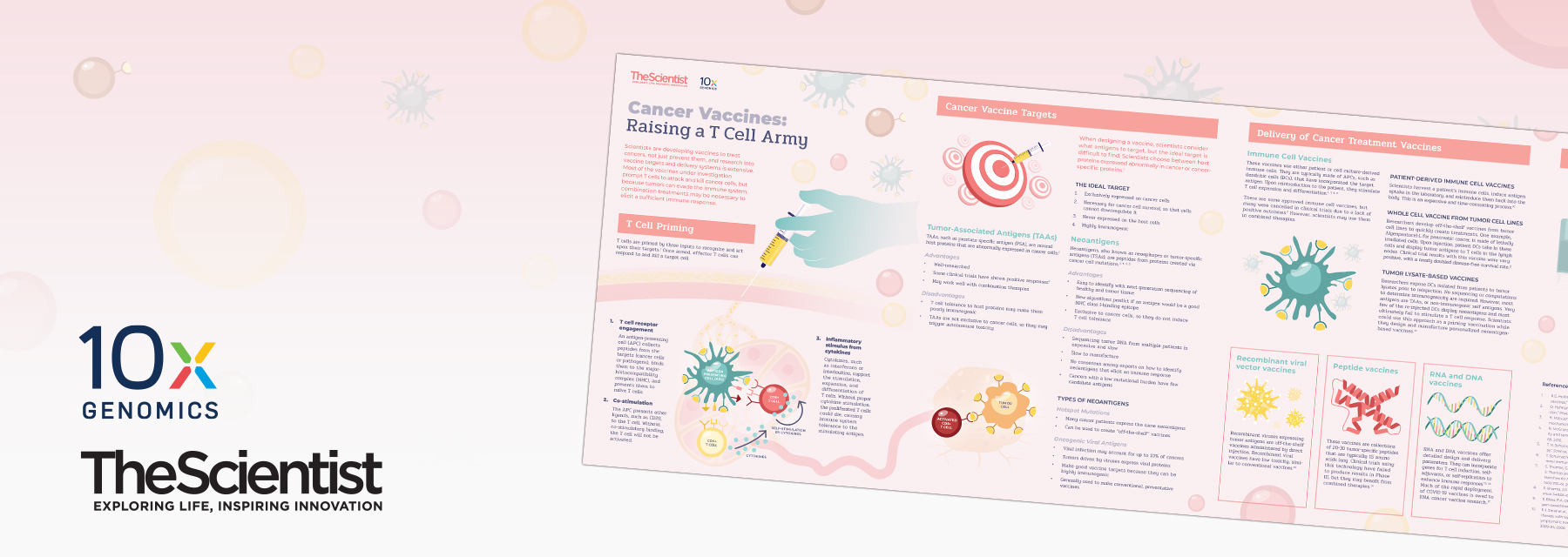 Cancer Vaccines: Raising a T Cell Army