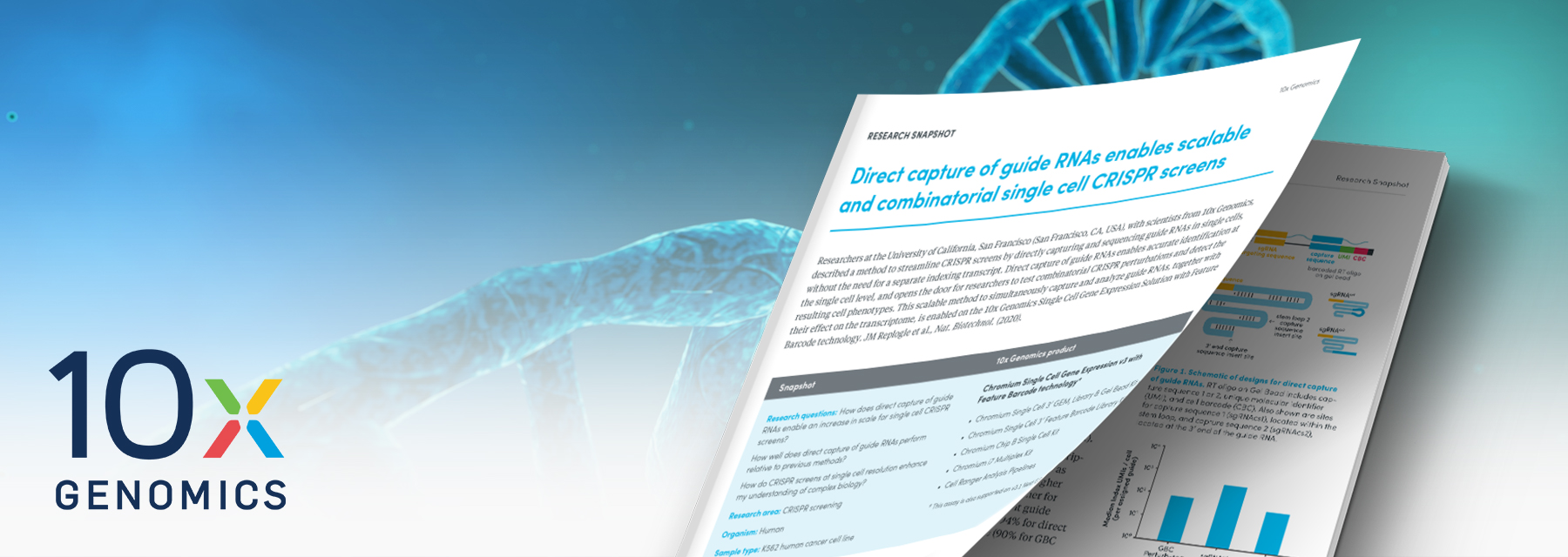 Combinatorial Single-Cell CRISPR Screens
